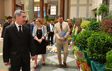 On the World Environment Day Turkmenistan discussed the environmental ...