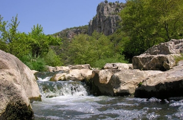 Autumn provides options for nature lovers in and around İstanbul - News ...