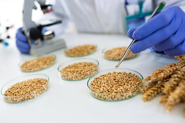 There is need to remove stigma from genetically modified crops - News ...