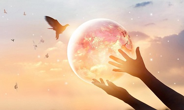 The Role of AI in Peacebuilding and Peacekeeping - News Central Asia (nCa)