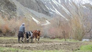 Green Climate Fund Backs $250M 'Glaciers to Farms' Program for Central ...